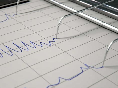 Polygraph Lie Detector Afpi Global Investigations And Affair Investigations