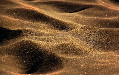 Extração De Areia Dos Oceanos Ameaça A Vida Marinha Ciclovivo