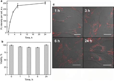 Carboxylated Quantum Dots Intracellular Uptake Dynamics And Biological