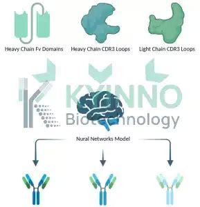 Ai Based Antibody Development Platform Kyinno Bio