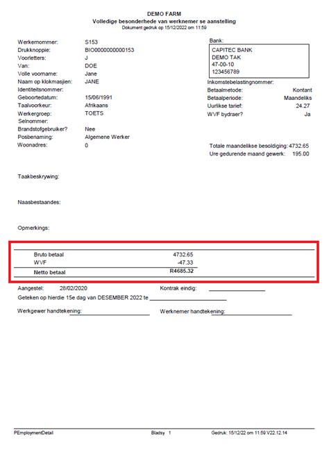 Dummy Payslip