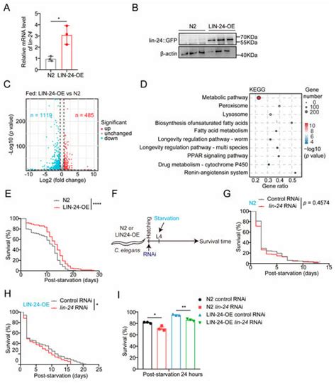 Toxins Special Issue Pore Forming Toxins From Structure To Function