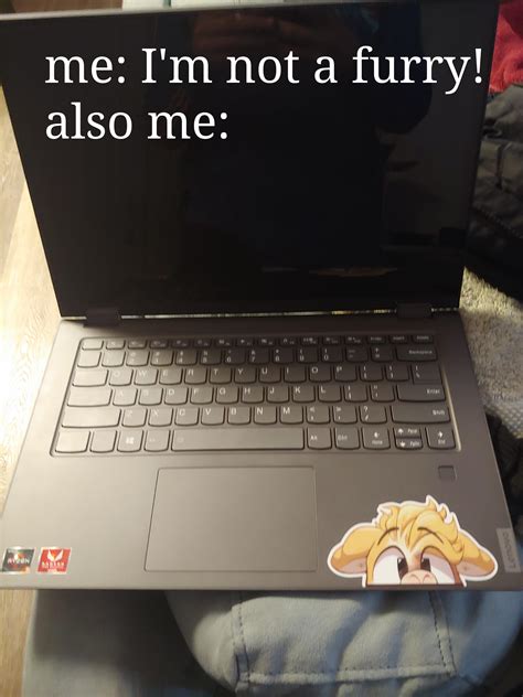 Computerirl Rfurryirl