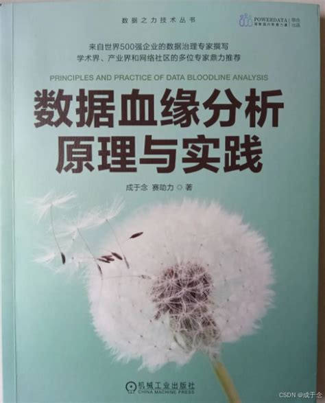 一文详解数据血缘实体结构数据血缘关系图 Csdn博客 一文详解数据血缘实体结构数据血缘关系图 Csdn博客