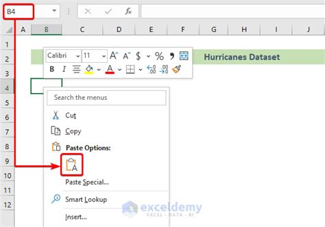 将逗号分隔的值粘贴到 Excel 中（以不同的顺序） 知猫指南