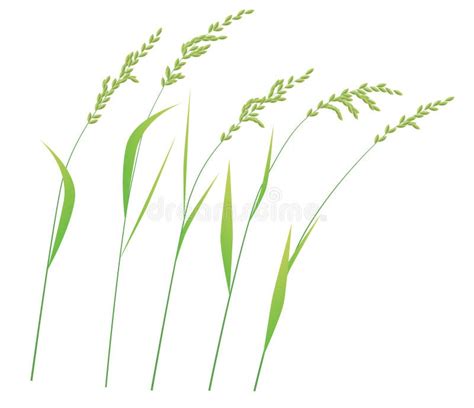Wind Grass Stock Illustrations 32 690 Wind Grass Stock Illustrations