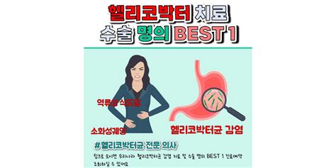 우리나라 소화불량 소화성궤양 헬리코박터균 감염 치료 전문 명의 유명 의사 병원 추천 Top 1 수도권 비수도권