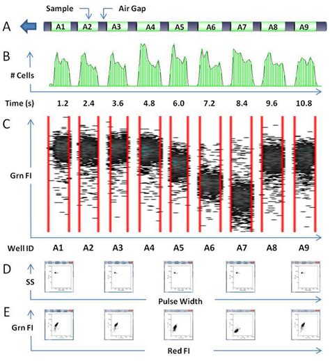 Hypercyt Based High Throughput Flow Cytometry A Samples From Wells A1