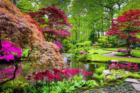 Residential Garden And Landscape Design Projects By Aql