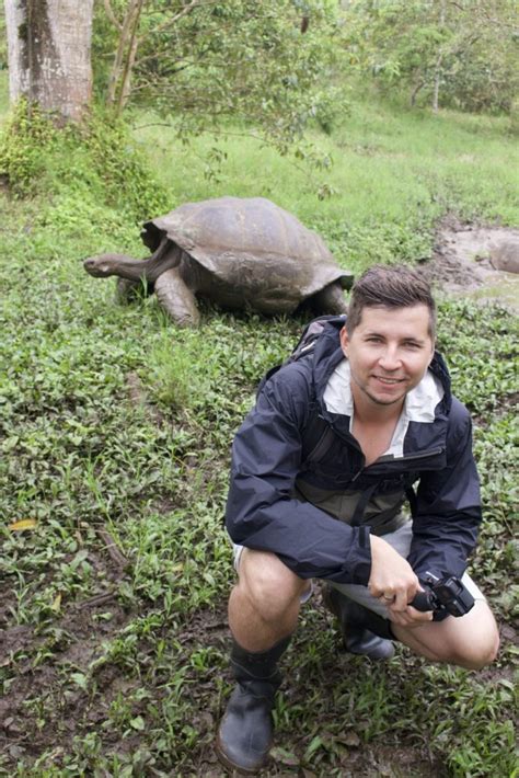 5 Reptiles Que Debes Ver En Las Islas Galápagos My Trip To Ecuador