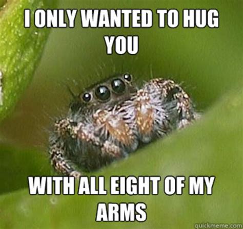 Image 499876 Misunderstood Spider Spider Meme Funny Spider