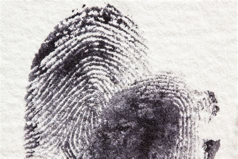 Development Of Latent Fingerprints With Silver Nitrate Carolina