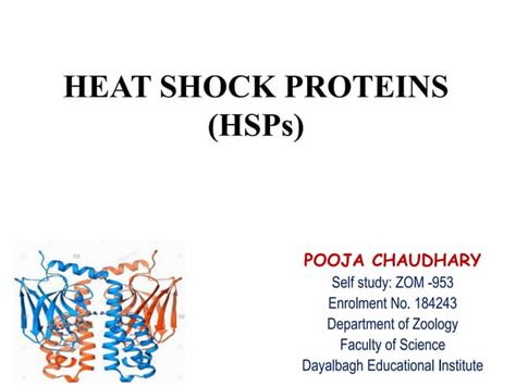 Heat Shock Proteins Presentation Pptx