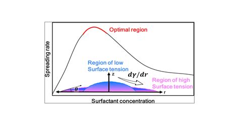 Surfactant Enhanced Spreading On Solids Roles Of The Surface Tension Gradient Spreading