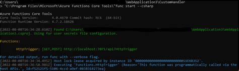 C Invoking A Restful Api Via Azure Functions And Custom Handler Stack Overflow