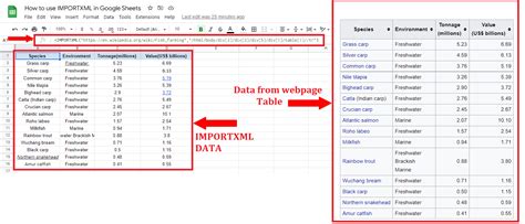 How To Use IMPORTXML In Google Sheets SpreadCheaters