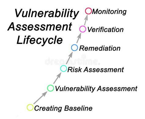 Vulnerability Assessment Stock Illustrations 1350 Vulnerability Assessment Stock