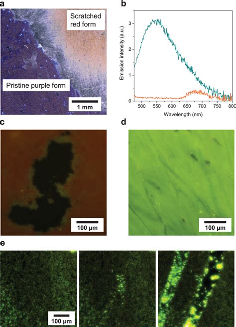 Revealing The Friction Stress Of Microalgae In Microfluidic Devices
