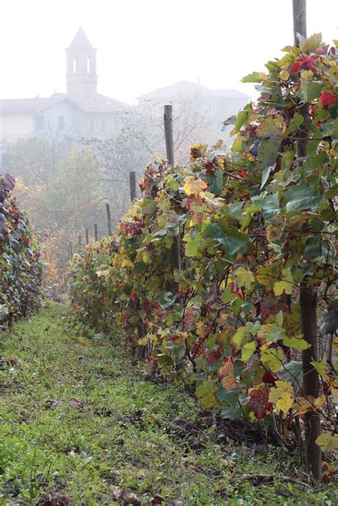 Path Object Detection Dataset And Pre Trained Model By Path