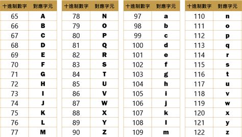 小校報 「0」與「1」，電腦講緊乜？