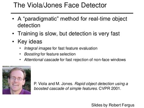 Pdf The Viola Jones Face Detector