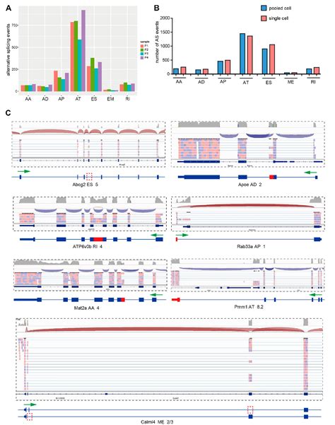 Figure 2 From Single Cell Transcriptomics Reveals Splicing Features Of