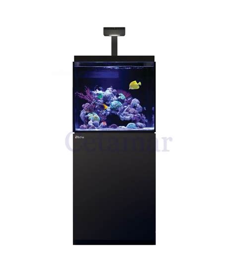 Max E - 170 LED