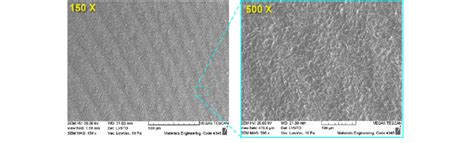 Secondary Electron Se Micrographs At Different Magnifications Of The