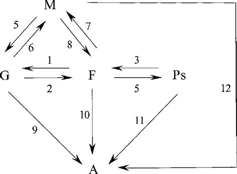 Simplified Reaction Scheme Proposed By De Bruijn 1986 Download