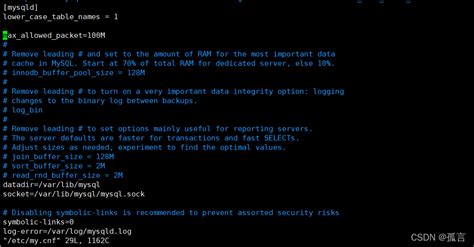 Java开发项目常见bug Csdn博客
