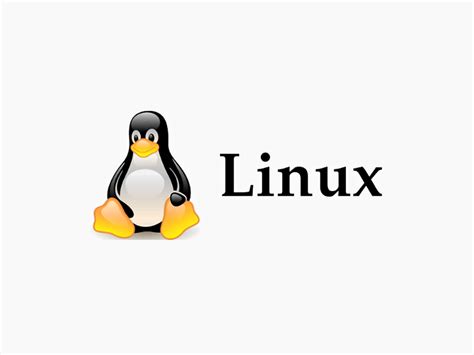 Linux 리눅스 기본 명령어 쉘xshell 스크립트 기본 문법