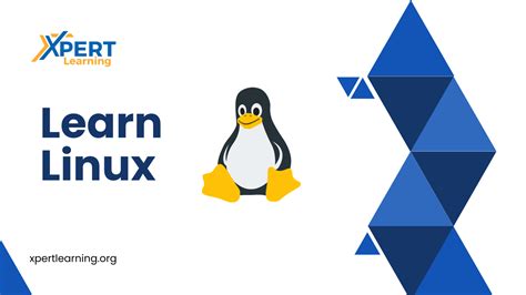 linux the productive programmer s best friend xpert learning