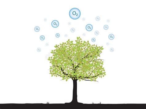 Tree With Oxygen Royalty Free Stock Photos Image