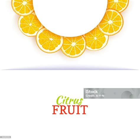 맛 있는 열 대 오렌지 반원 흰색 프레임 구성 됩니다 벡터 카드 그림입니다 오렌지 만다린 감귤 류 반 라운드 프레임 식품 포장