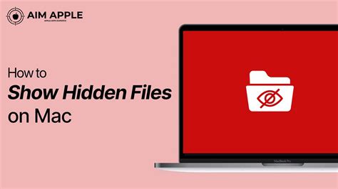How To Show Hidden Files And Folders On Mac Quick And Easy Guide Youtube