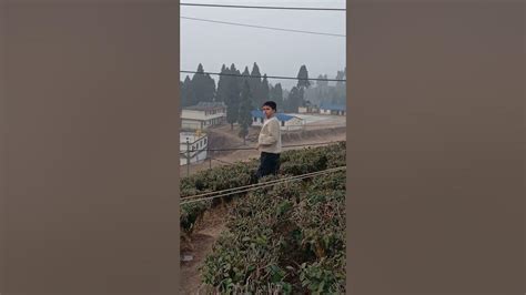 Ilam Chiya Bagan Chiso Mausam Ma Youtube