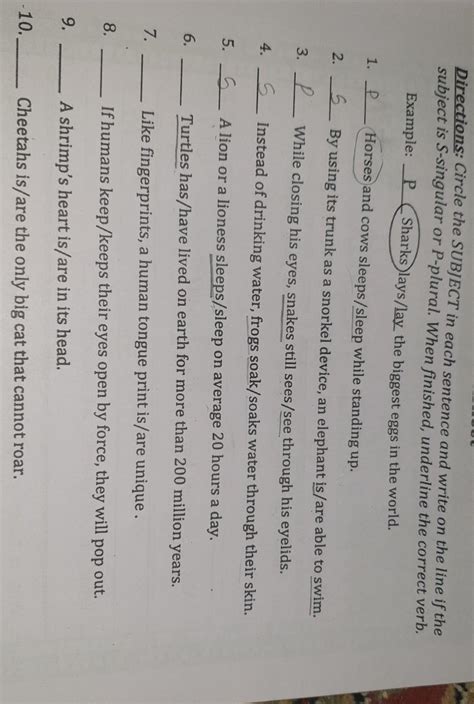 What Is Subject And Verb In These Sentense