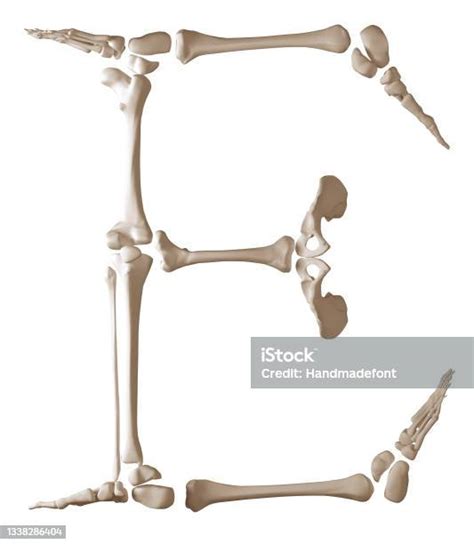 흰색 배경에 고립 된 인간의 뼈로 만든 알파벳 문자의 3d 렌더링 3차원 형태에 대한 스톡 사진 및 기타 이미지 3차원 형태 공포 무서움 대문자 Istock