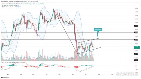 Will Binance Coin Price See A Major Correction Bearish Pattern