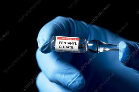 Fentanyl Citrate Ampule In Gloved Hand Stock Image F0359685
