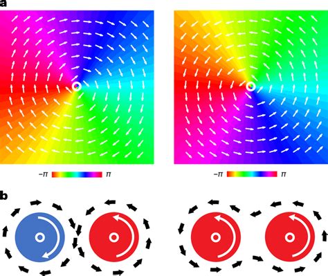 Schematic Illustration Of Spiral Like Rotational Wave Patterns And