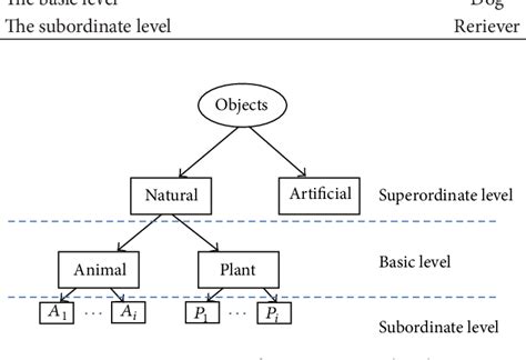 figure 1 from a computational approach towards visual object