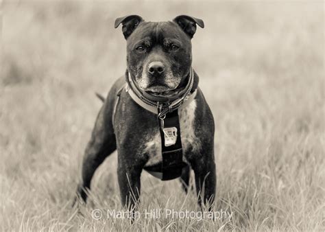 Greetings D3max Flickr