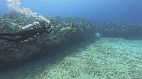 Rubi Rose Twerk Compilation Videos Download The Best Free 4k Stock Video Footage And Rubi Rose