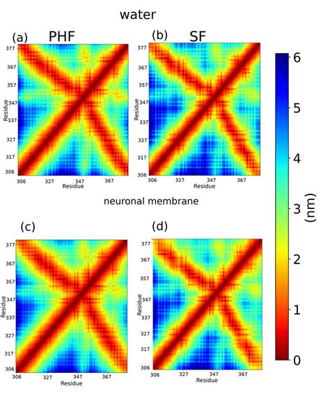 A B Are The Residue Residue Contact Maps For The PHF And SF Download Scientific Diagram