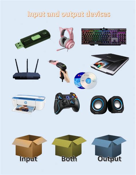 Input And Output Devices Worksheet Live Worksheets