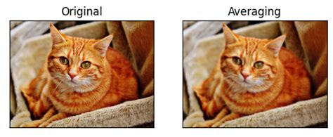 NvImageCodec Examples NvImageCodec