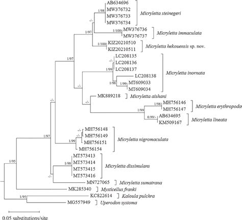 Bayesian Inference Tree Of Micryletta Reconstructed On The Base Of 16s