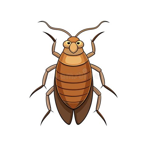 Charming Illustration Of Giant Water Bug Showcasing Detail Stock Illustration Illustration Of