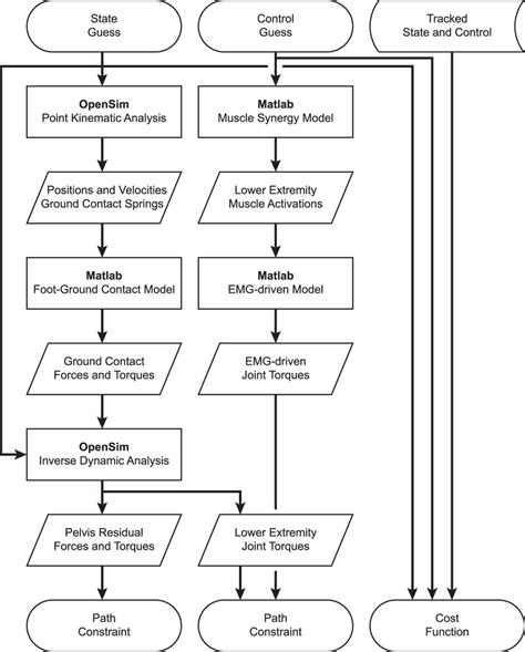 Flowchart Demonstrating The Interaction Of Matlab And Opensim Functions
